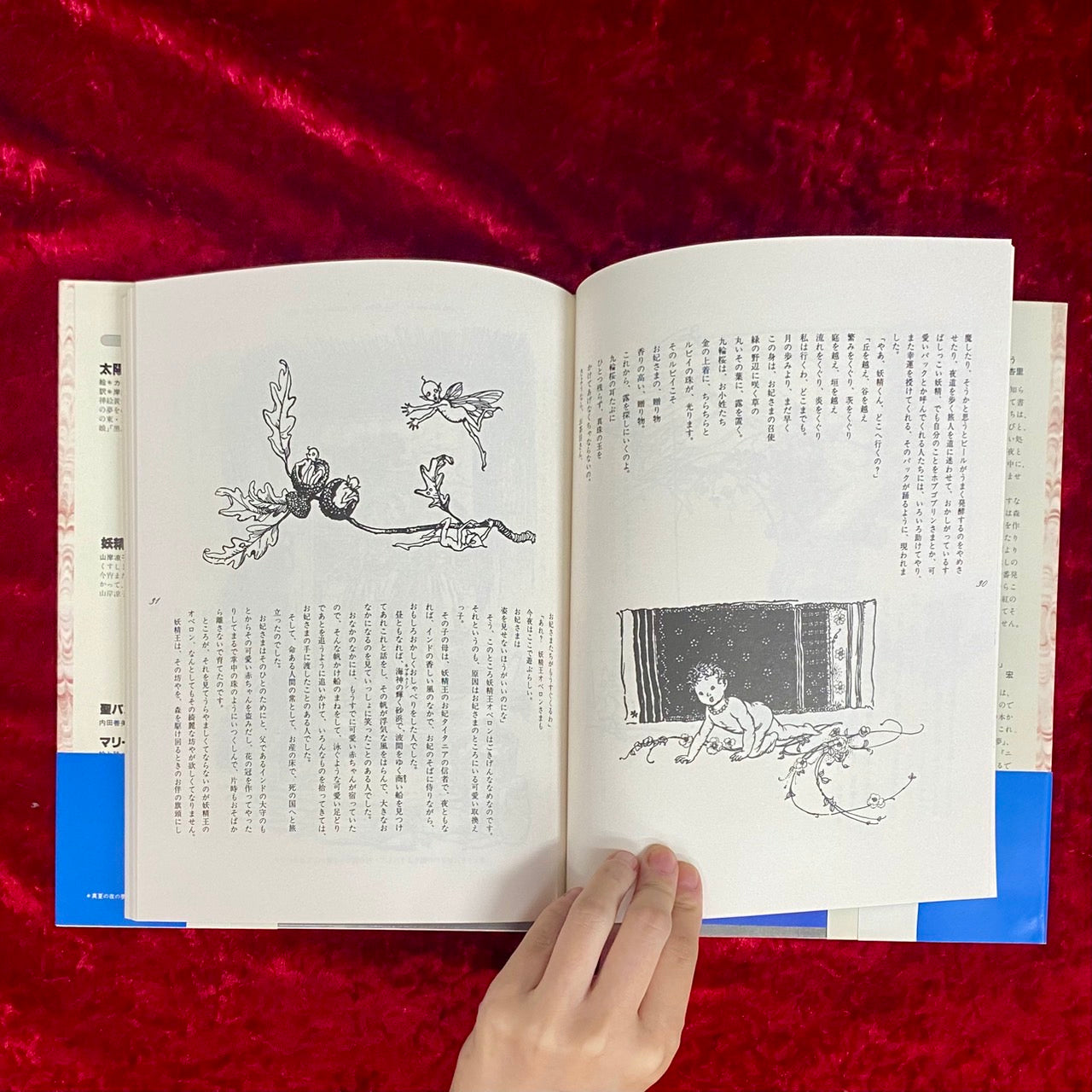 真夏の夜の夢 – 古書ドリス