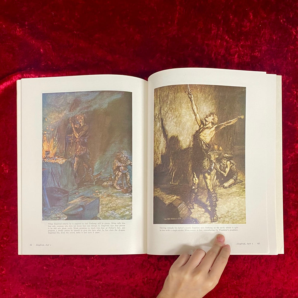 Arthur Rackham's Color Illustrations for Wagner's "Ring" アーサーラッカム 洋書 ...